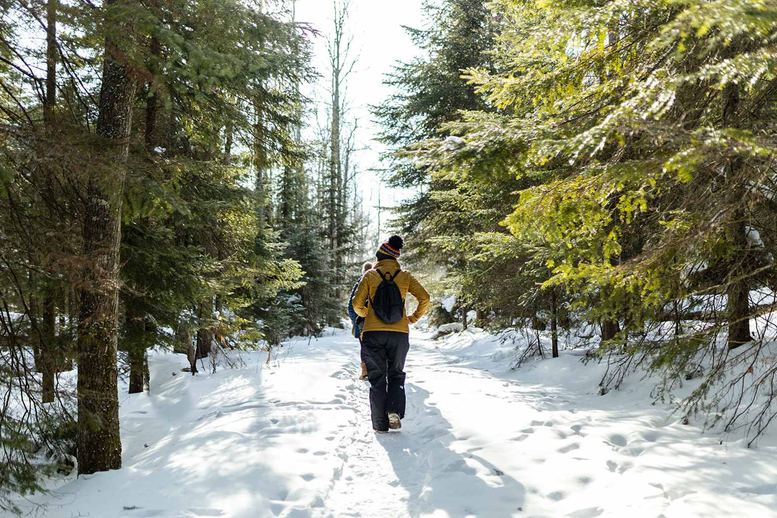 The Quiet Work of Winter